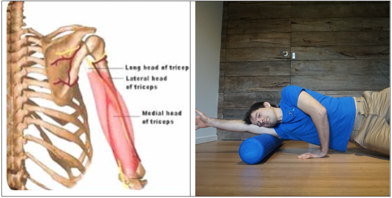 Triceps release • WholeBodyChiro