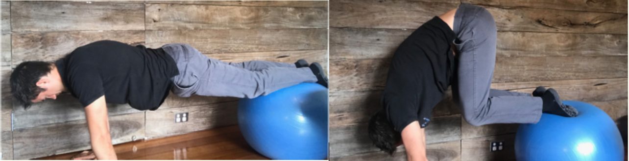 Exercise Ball Plank/Crunch • WholeBodyChiro